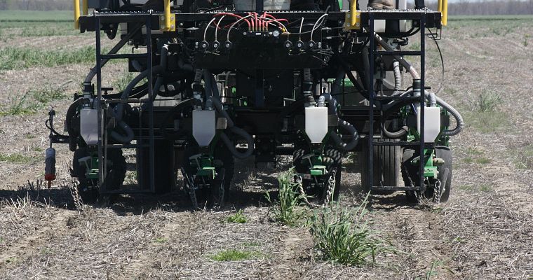 Research & Development - Wheat Tech