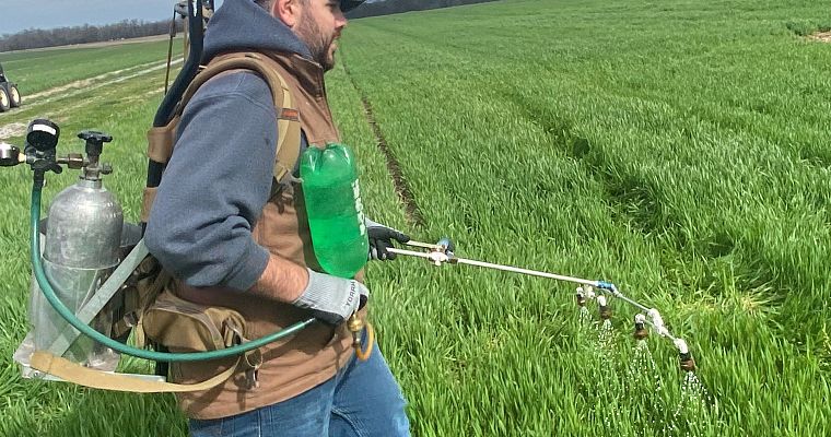 Research & Development - Wheat Tech