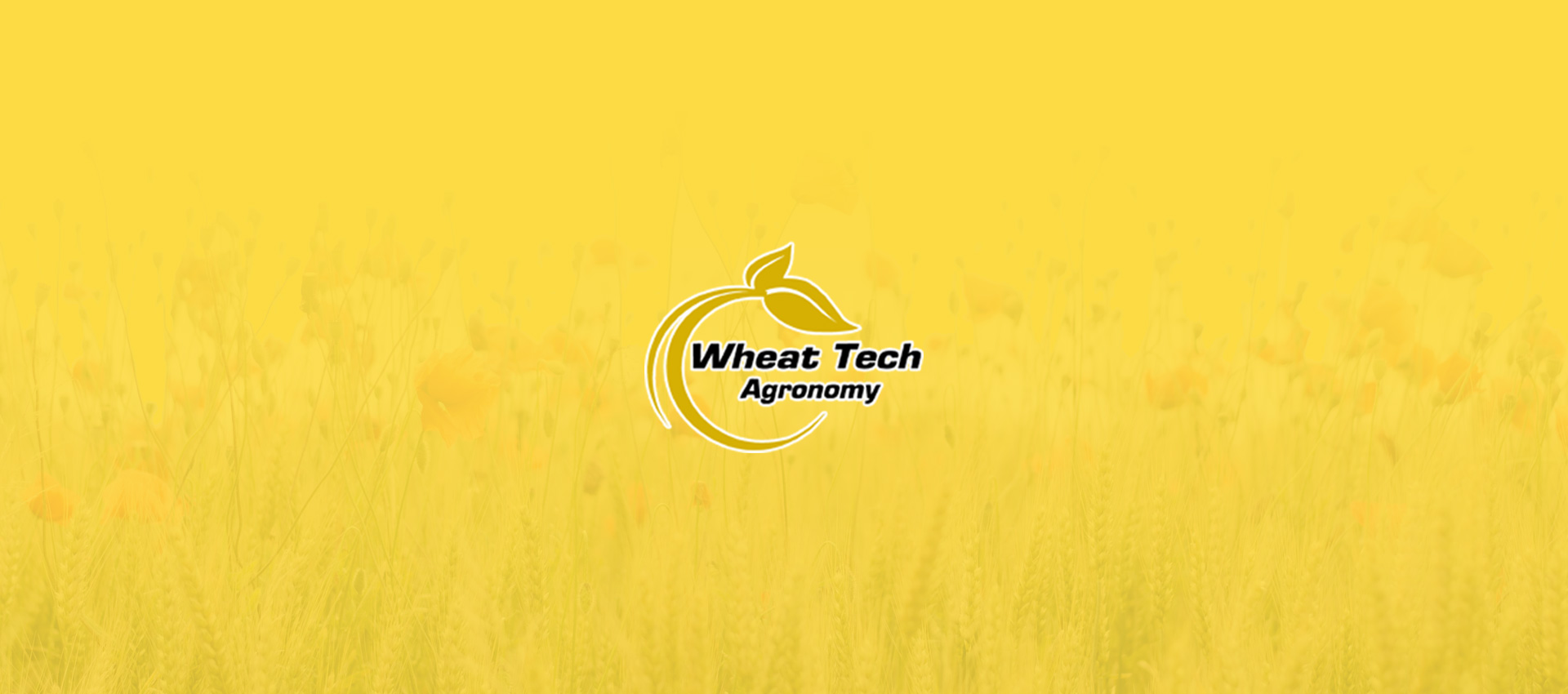 Home - Wheat Tech