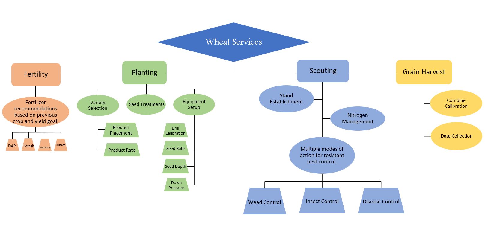Services - Wheat Tech