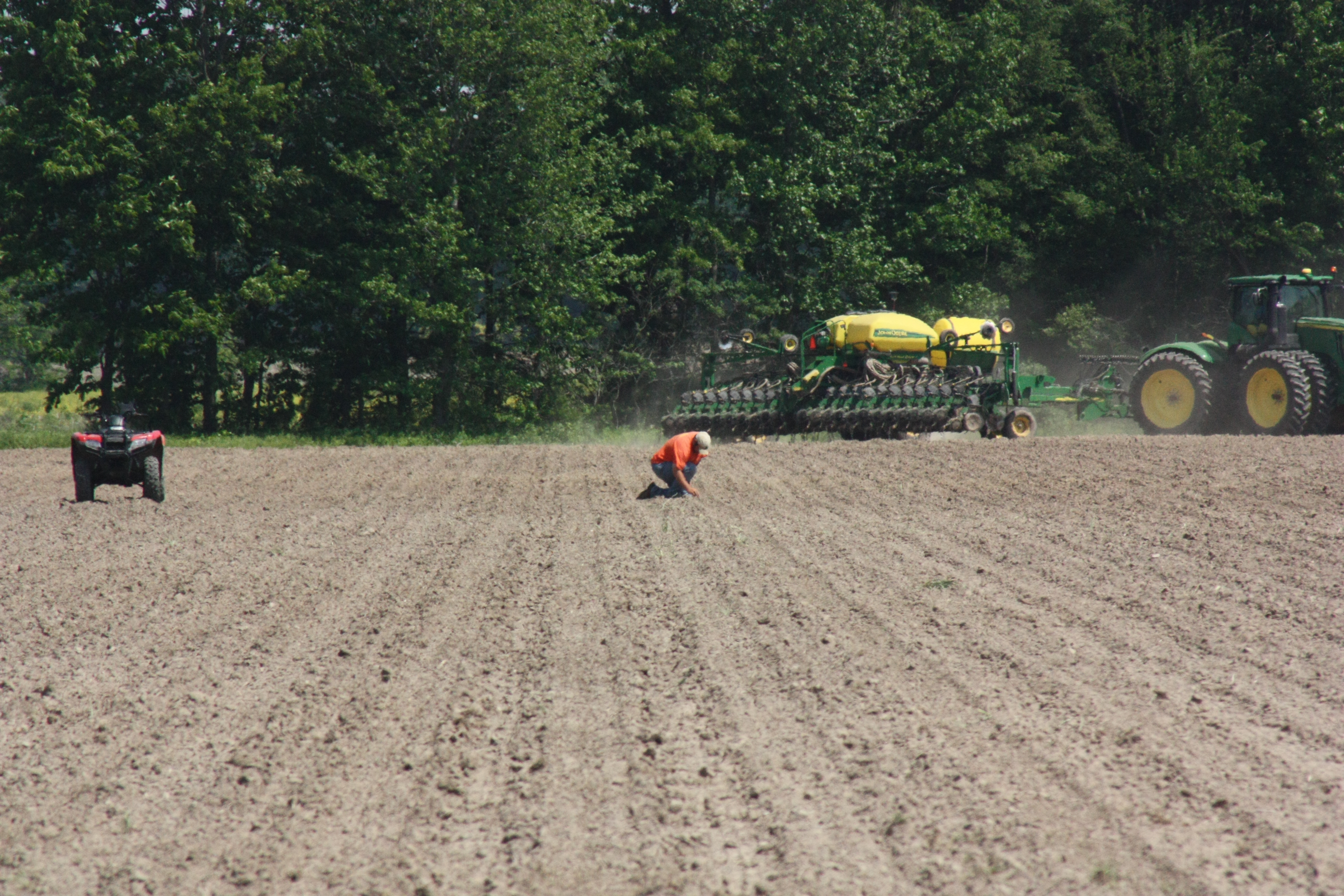 Services - Wheat Tech