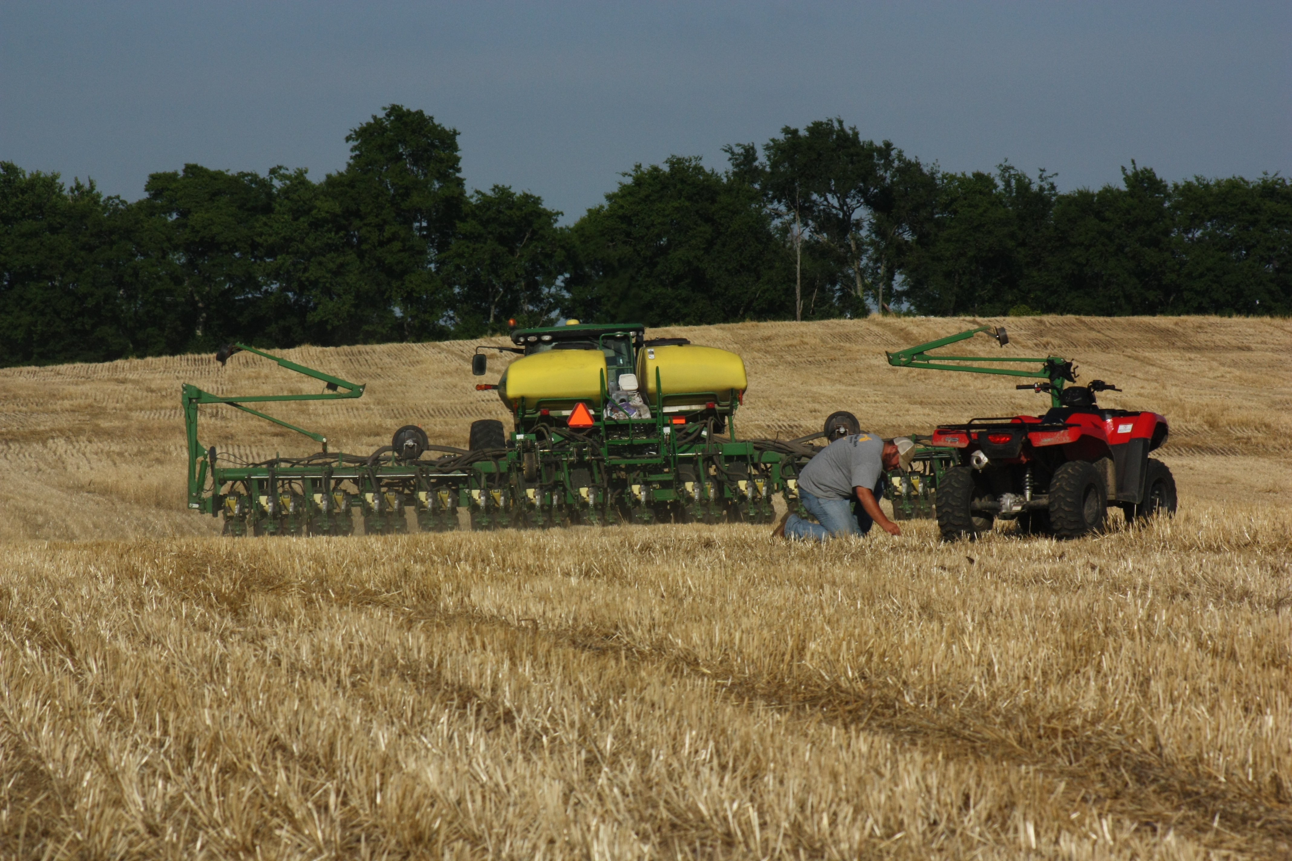 Services - Wheat Tech